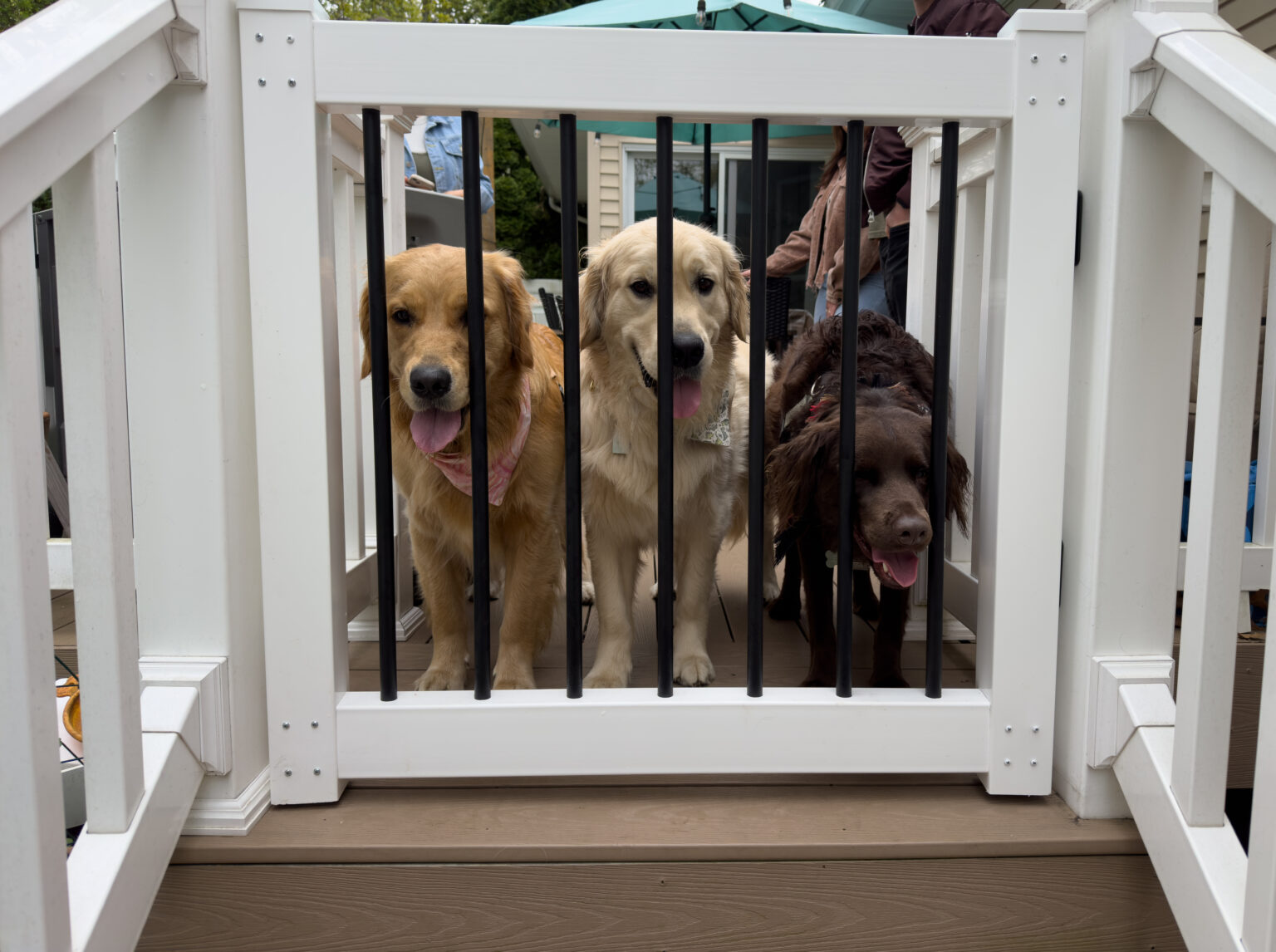 Vinyl Deck Gate Kit 3 Colors - The Deck Barn