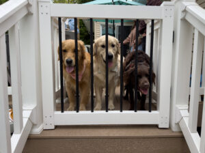Vinyl Deck Gate Kit 3 Colors - The Deck Barn